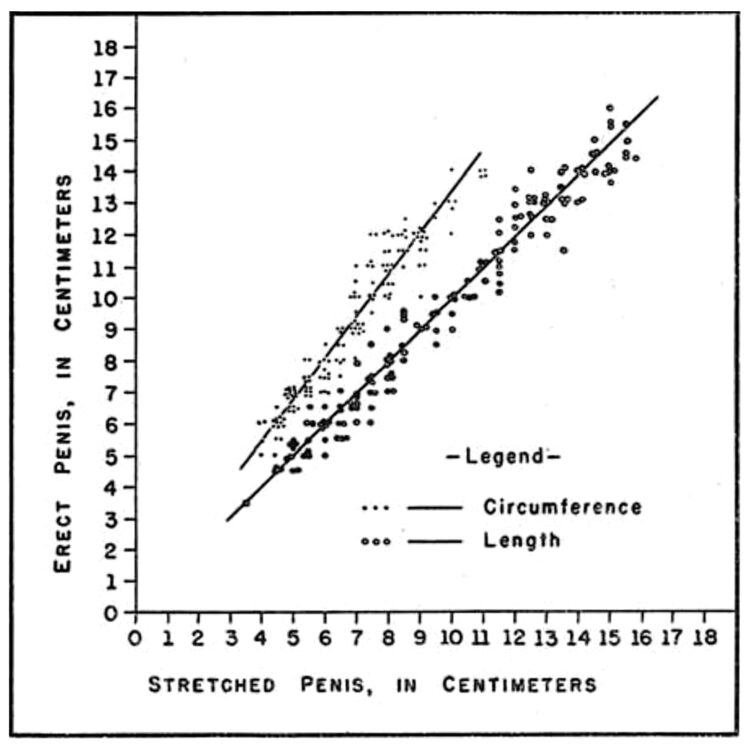 Why many penis size studies use stretched flaccid length instead of ... Why many penis size studies use stretched flaccid length instead of ...